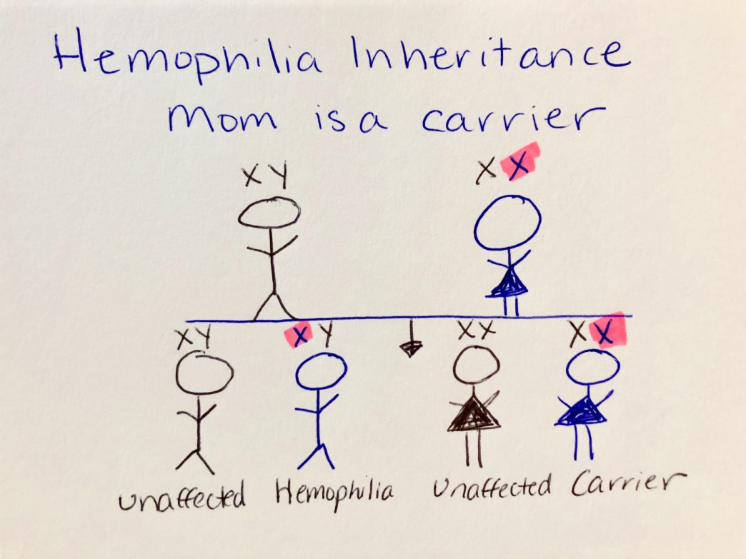 Illustrations of Hemophilia Inheritance Patterns Need Updating