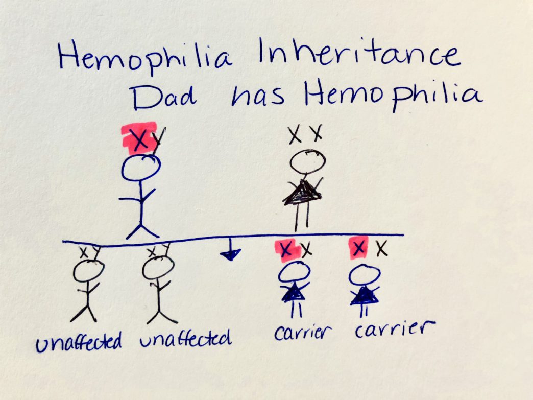Illustrations of Hemophilia Inheritance Patterns Need Updating