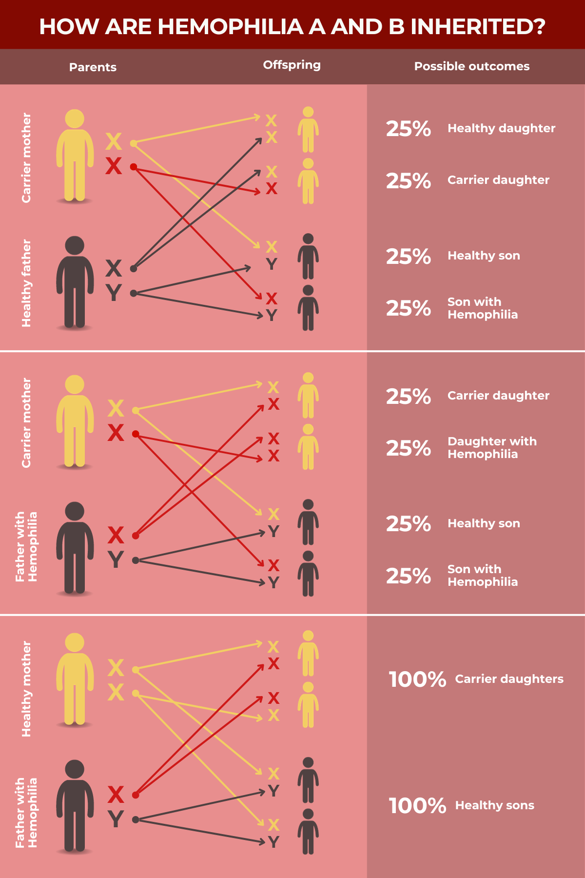 What causes hemophilia? | Hemophilia News Today